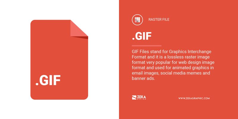 File Formats in Graphic Design Explained - Zeka Design
