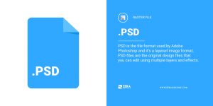File Formats in Graphic Design Explained - Zeka Design