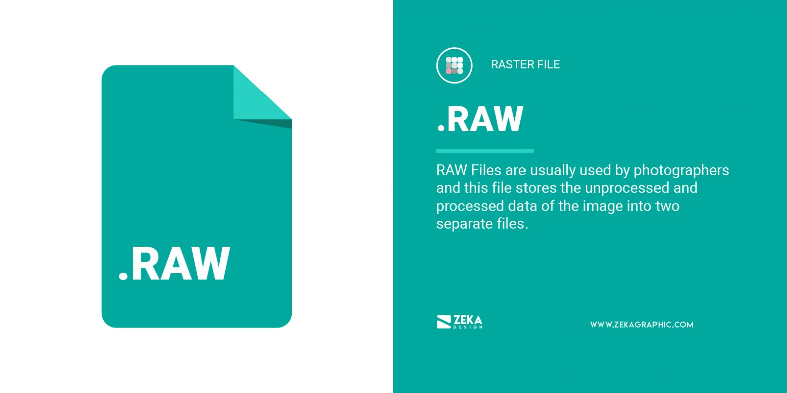 File Formats in Graphic Design Explained - Zeka Design