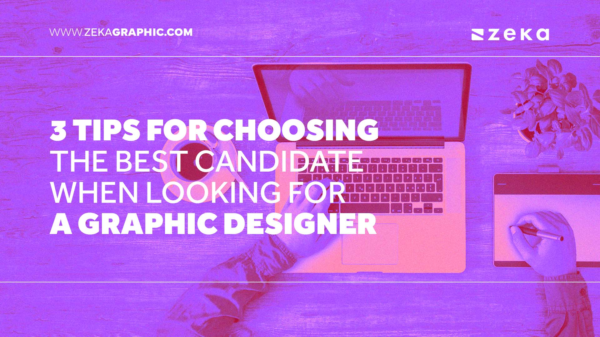 3 Tips for Choosing The Best Candidate When Looking for a Graphic ...