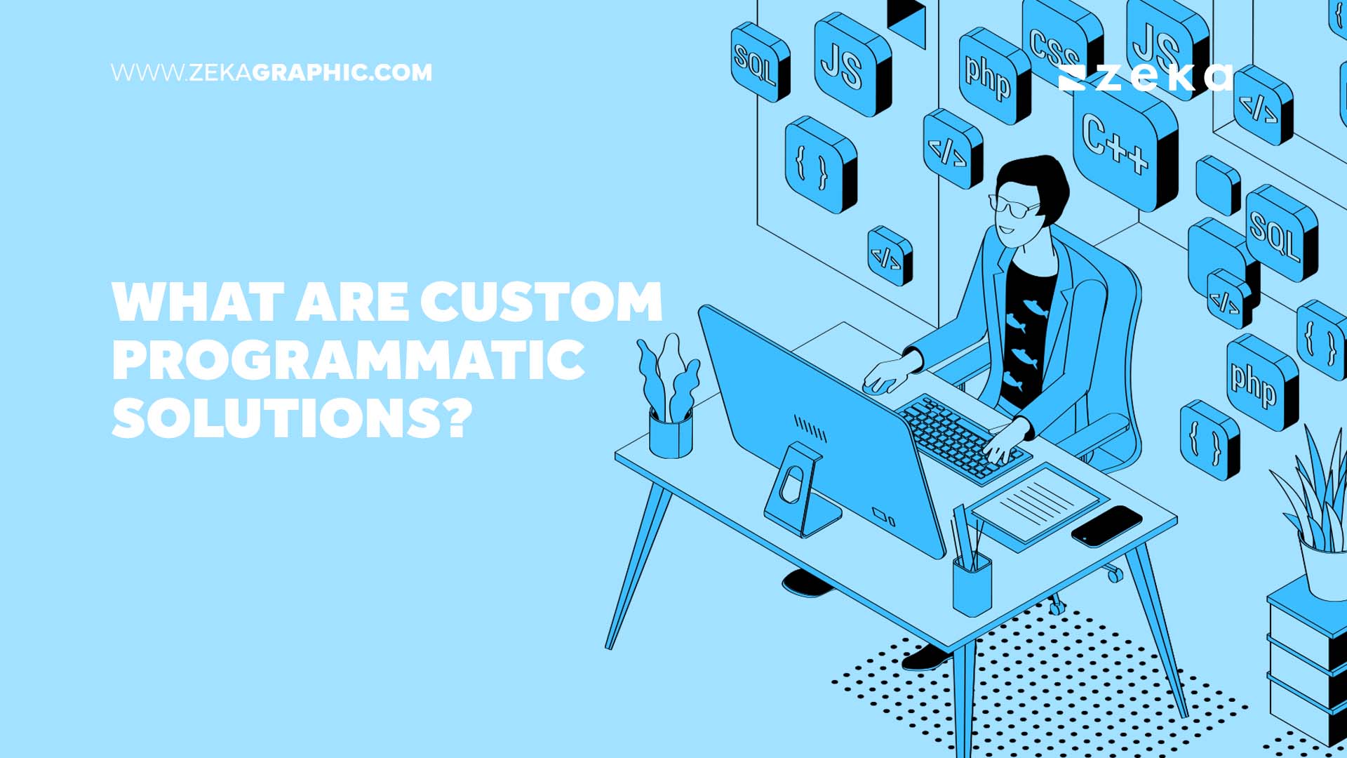 What Are Custom Programmatic Solutions Zeka Design