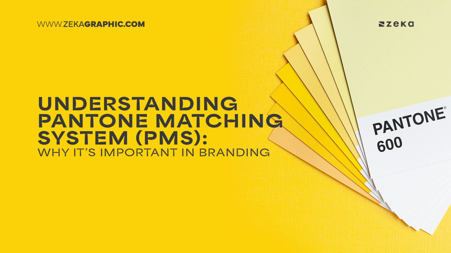 Understanding Pantone Matching System (PMS): Why It’s Important in ...