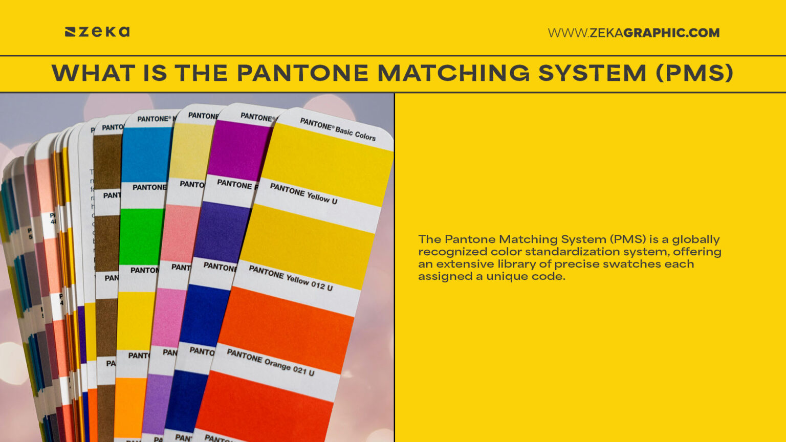 Understanding Pantone Matching System (PMS): Why It’s Important in Branding - Zeka Design